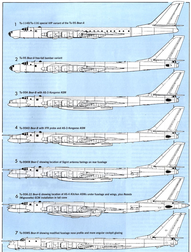 Туполев Ту-116