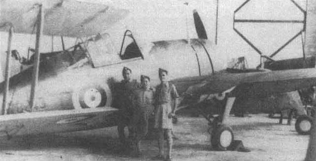 Brewster F2A Buffalo / B-239