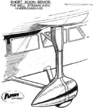 Short Scion Senior / S.22