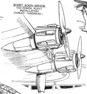 Short Scion Senior / S.22