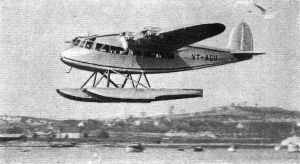 Short Scion Senior / S.22