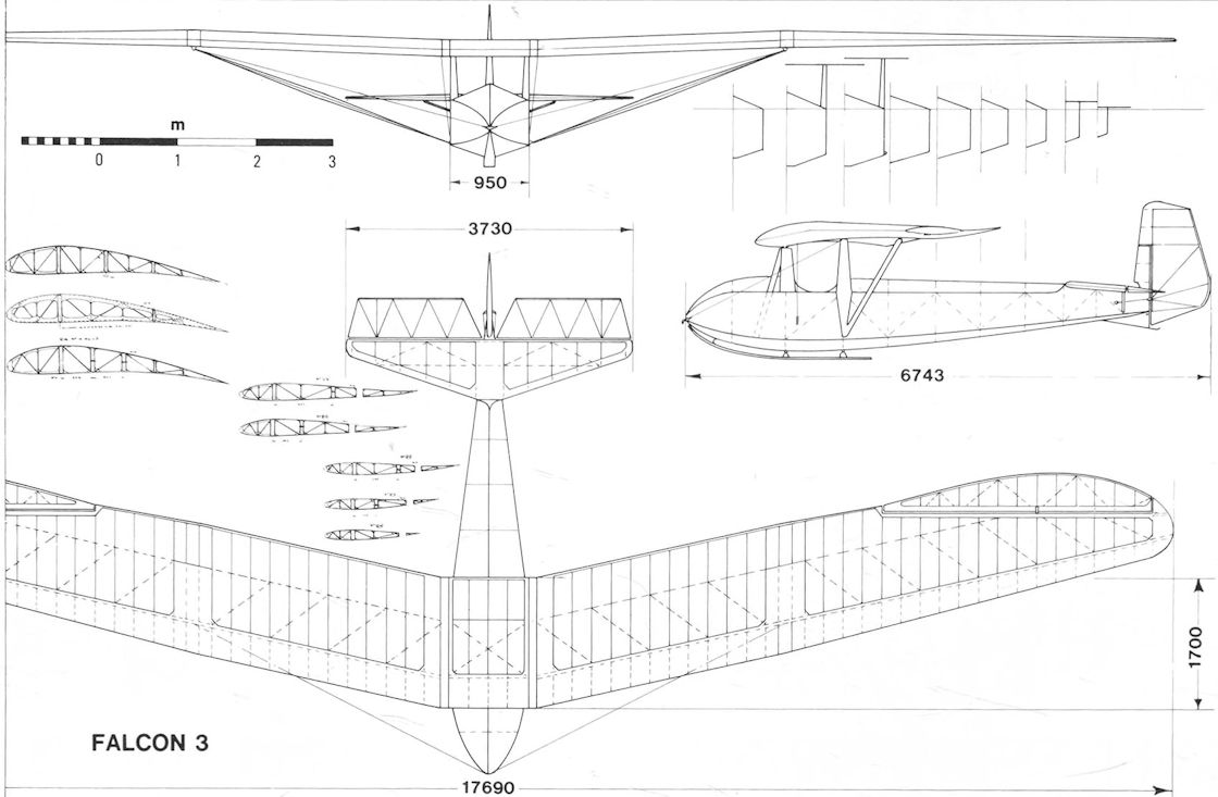 Slingsby T.4 Falcon 3