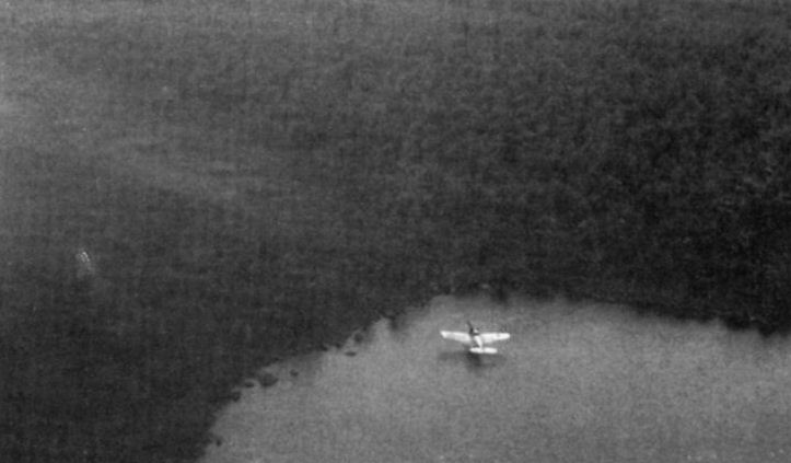 Arado Ar.199
