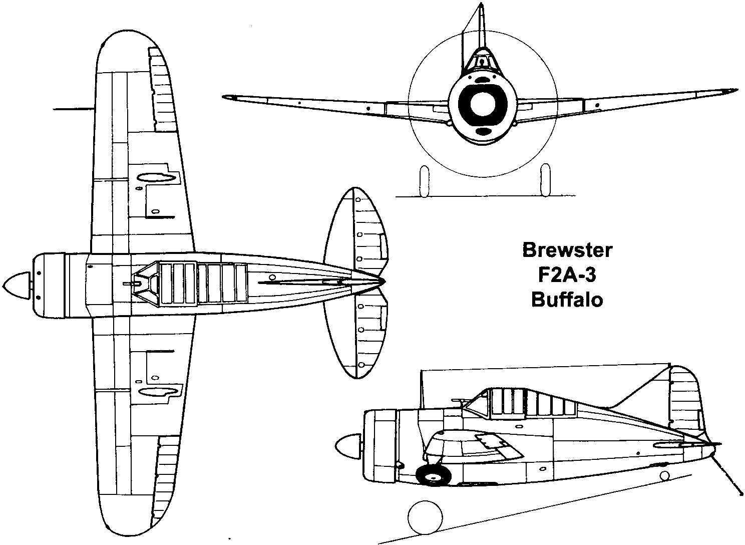 Brewster F2A Buffalo / B-239