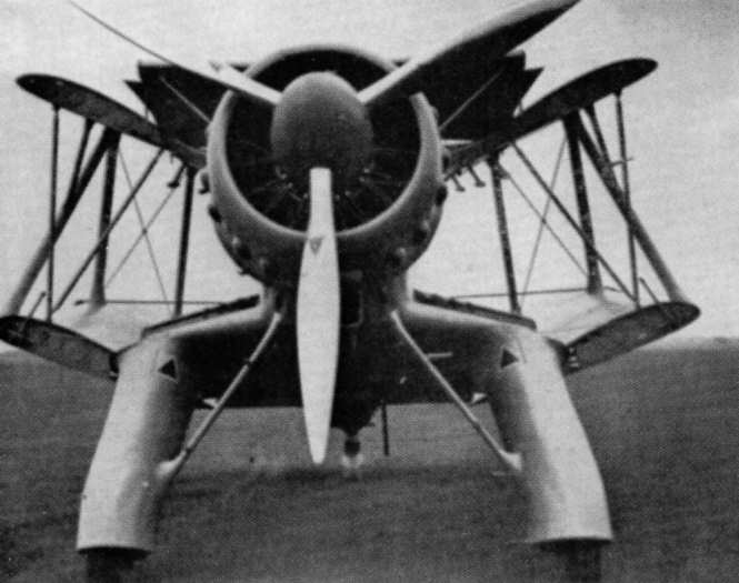 Arado Ar.95
